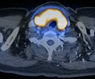 Department of Diagnostic Radiology